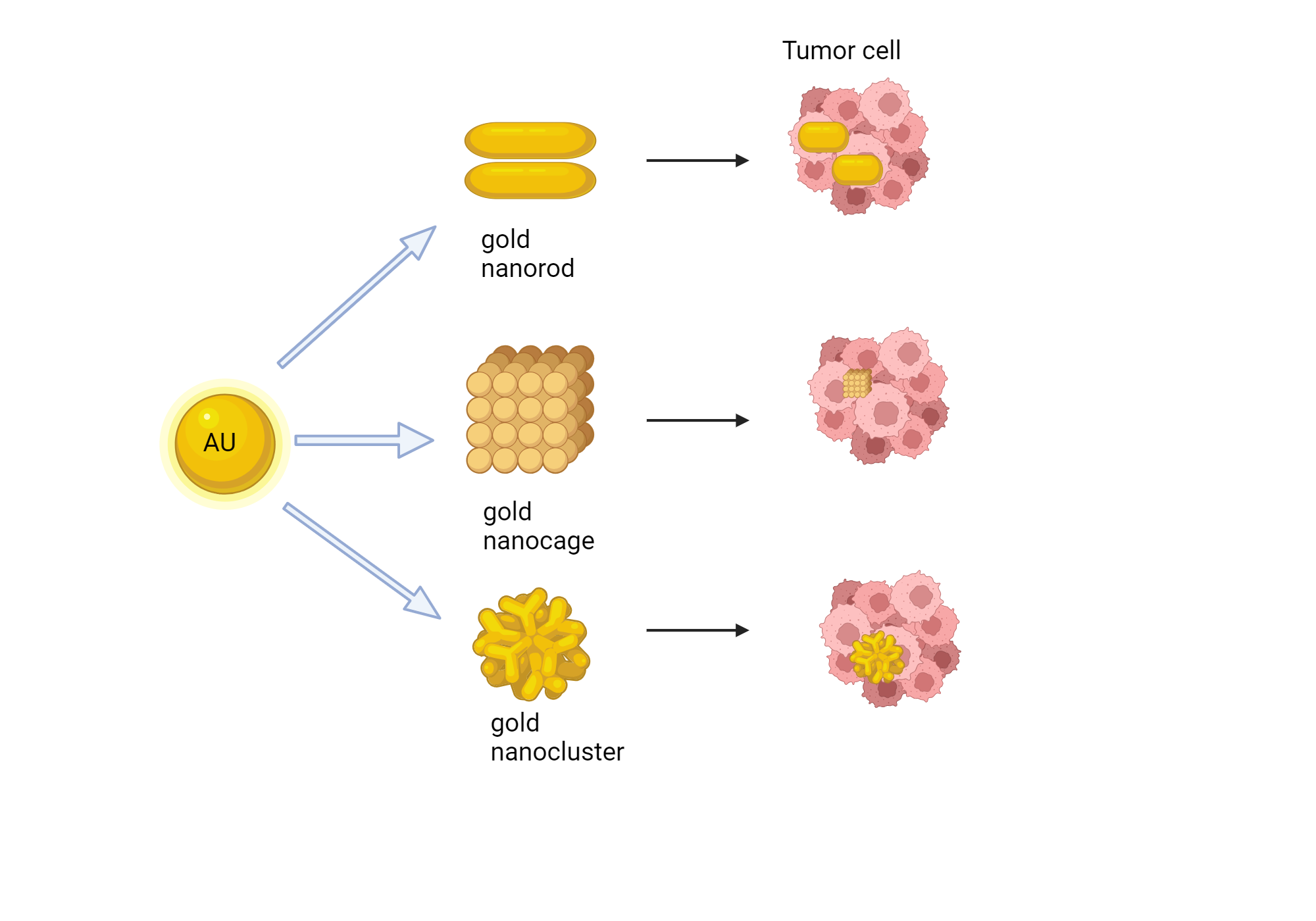 Gold nanoparticles types | BioRender Science Templates