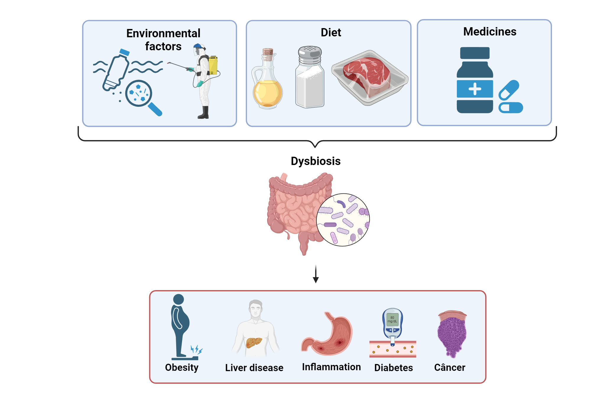 Factors and diseases associated with intestinal microbiota dysbiosis ...