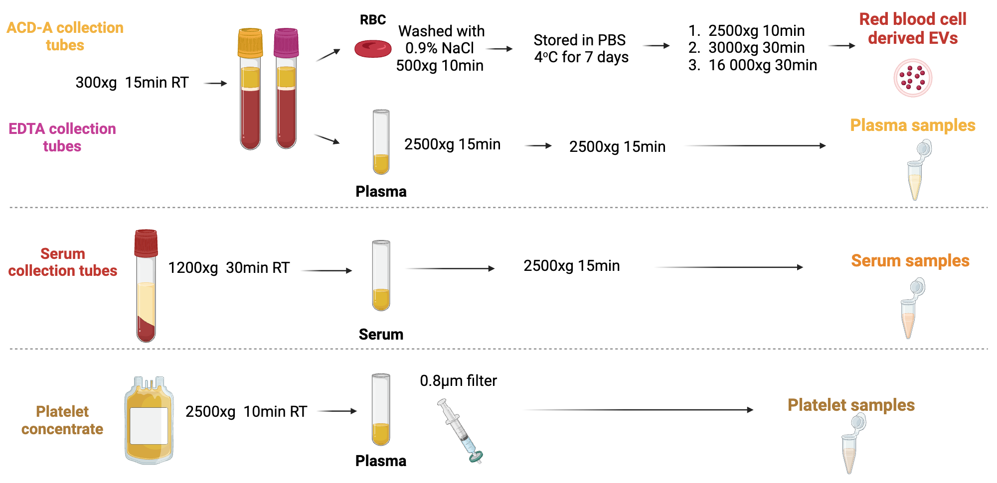 Blood sample processing for EV isolation | BioRender Science Templates