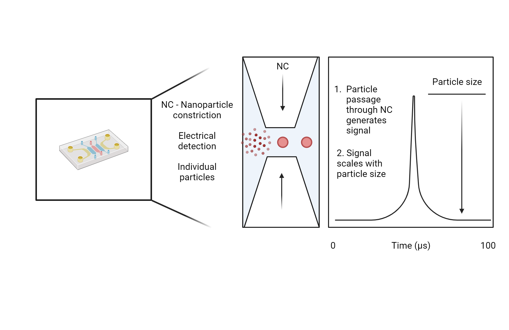 Coulter principle in the microfluidic chip | BioRender Science Templates