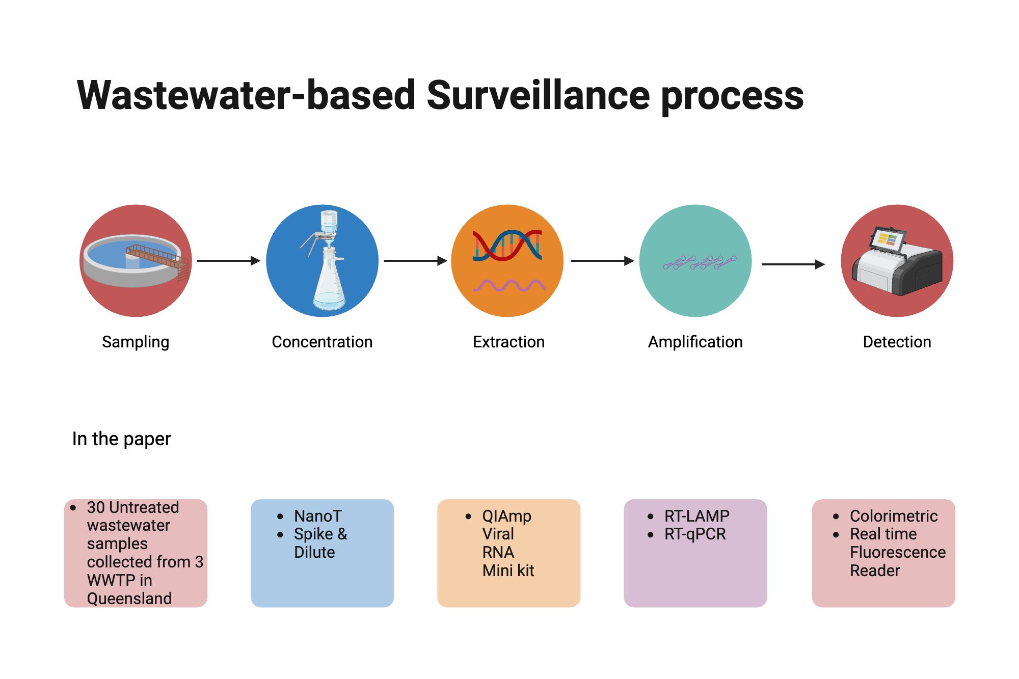 Wastewater based surveillance process | BioRender Science Templates