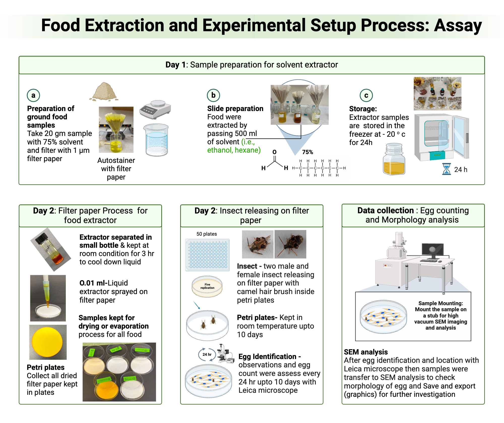 food extraction process and Insect egg identification | BioRender ...