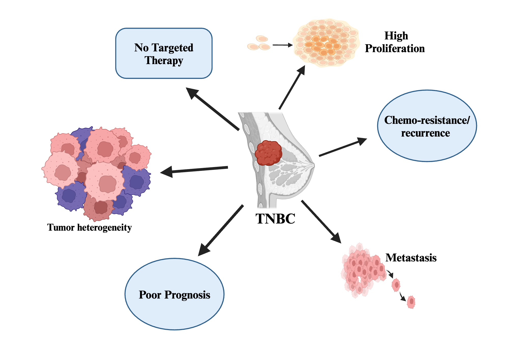 TNBC characteristics | BioRender Science Templates