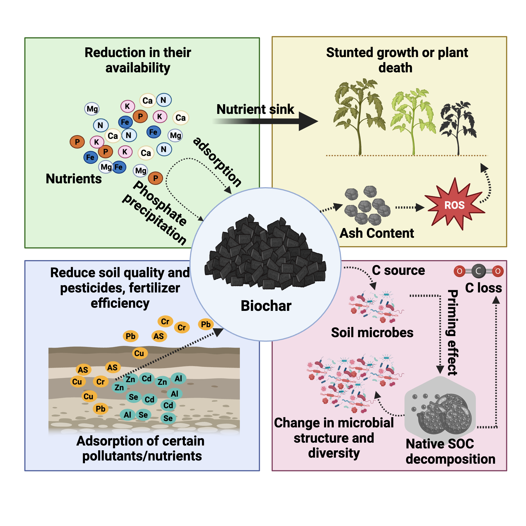 Fate of Pristine Biochar in Soil | BioRender Science Templates
