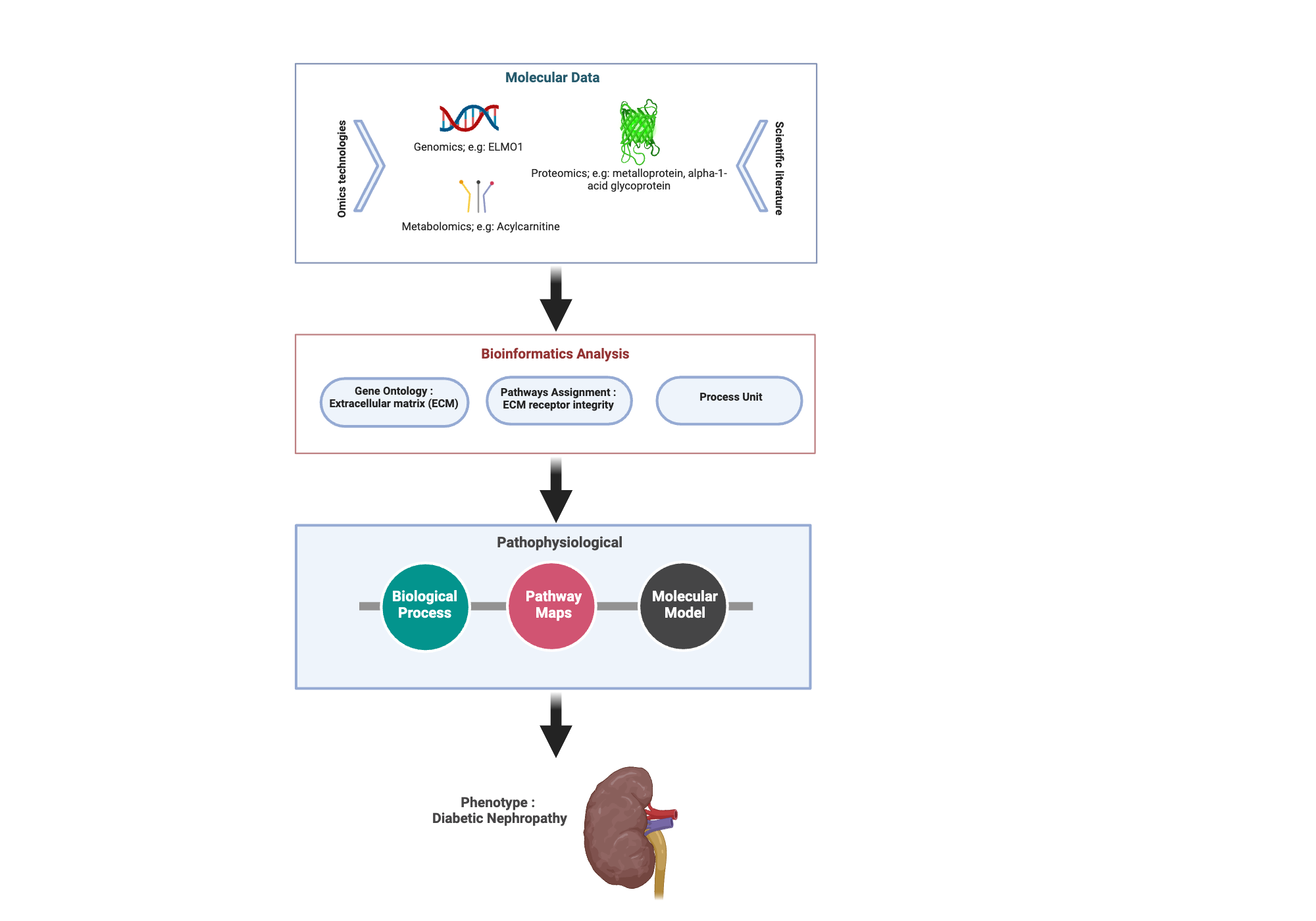 Illustrated Schematic analysis workflow integration of genomics ...