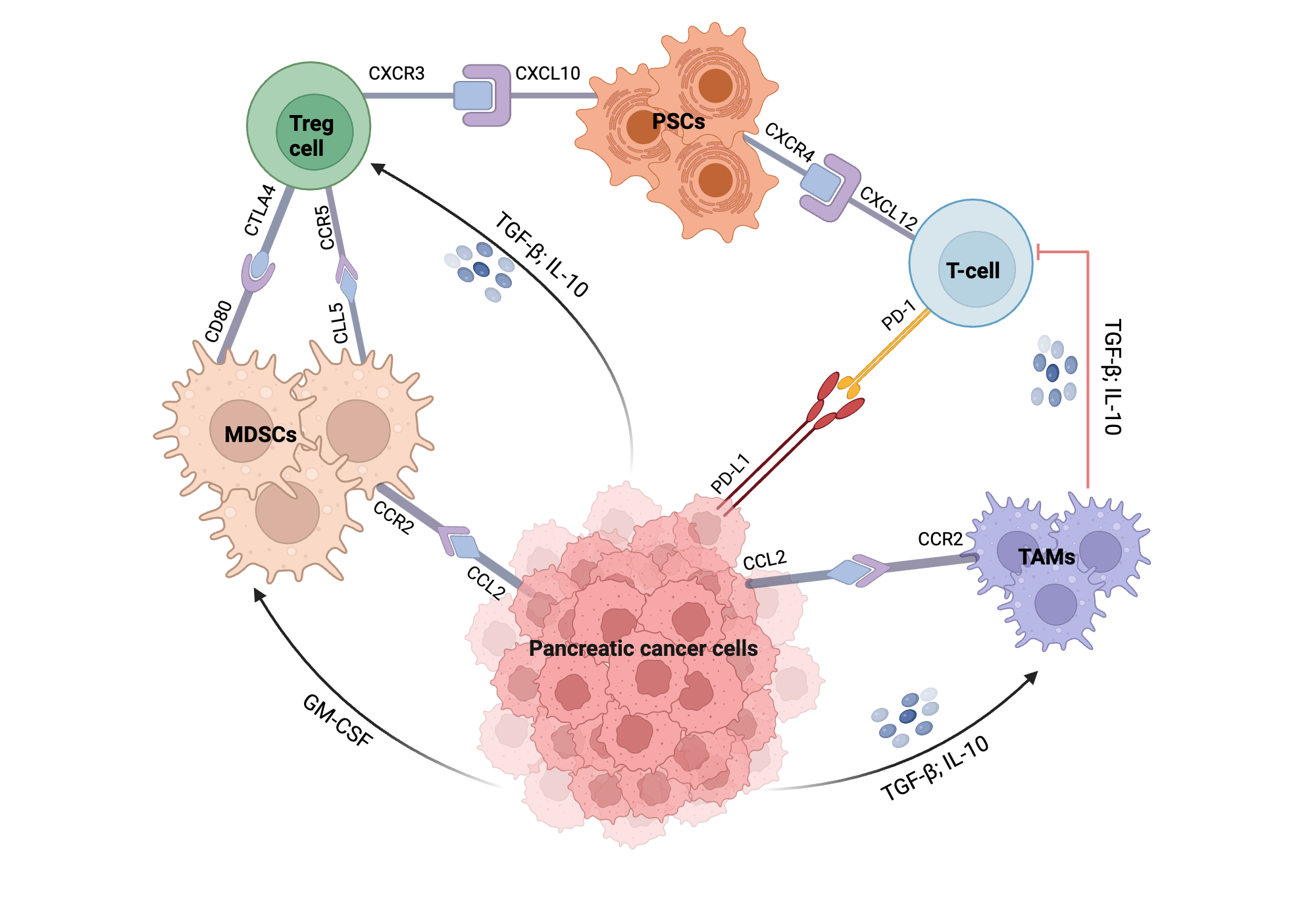 Potential Targets for Pancreatic Cancer Immunotherapy | BioRender ...