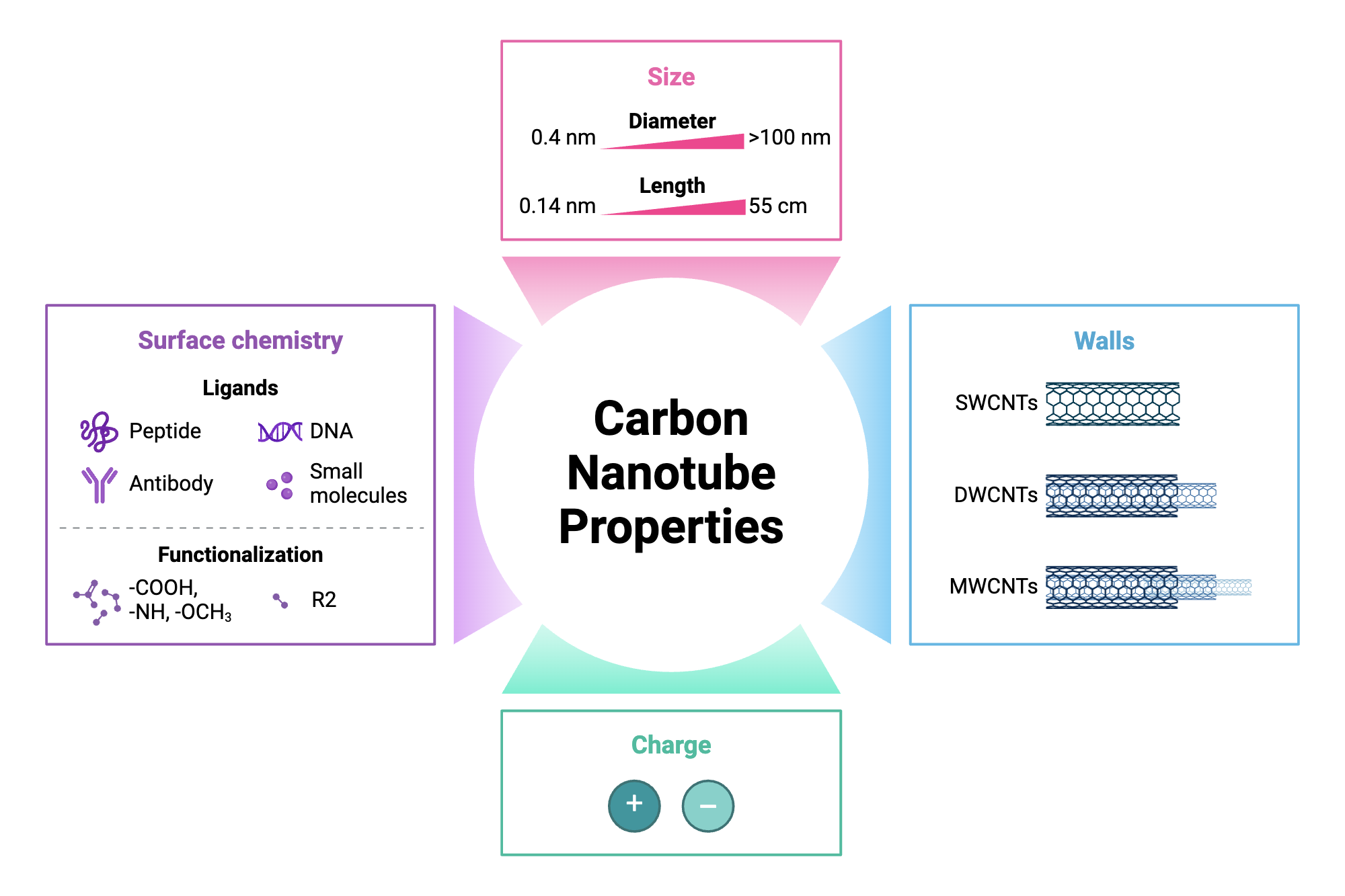 Carbon Nanotube Properties | BioRender Science Templates