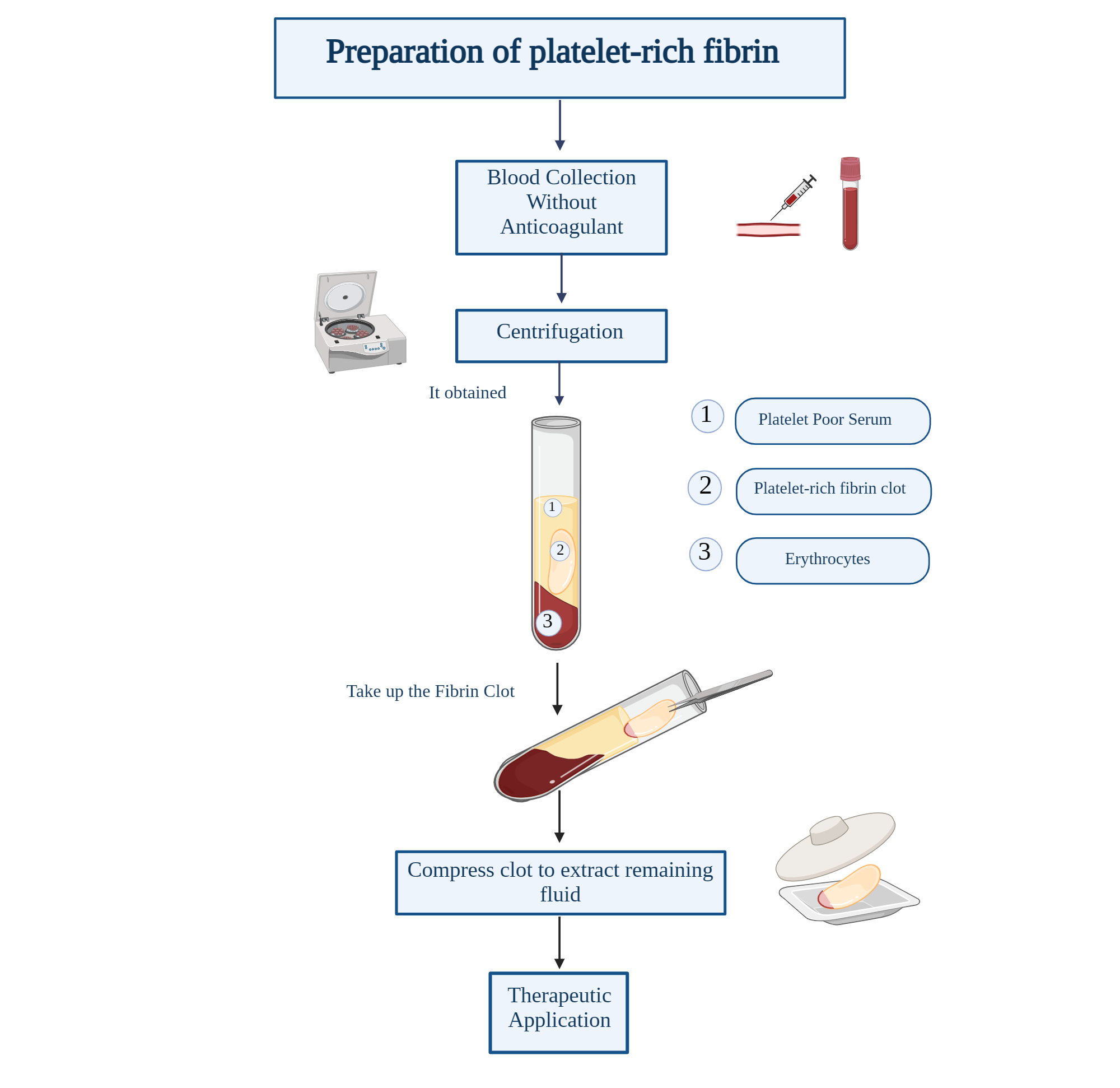 Preparation of platelet-rich fibrin | BioRender Science Templates