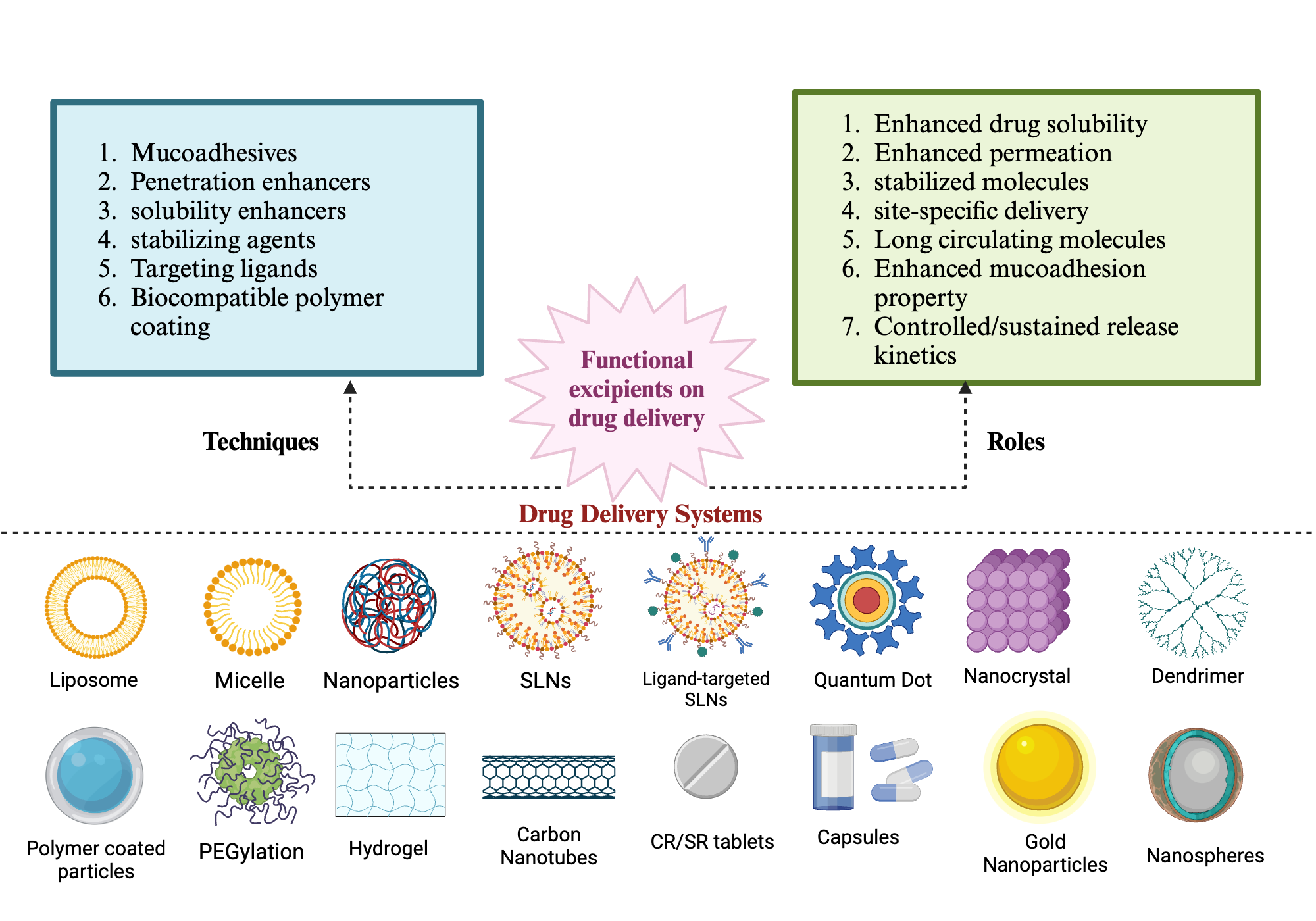 Functional Excipients in drug delivery | BioRender Science Templates