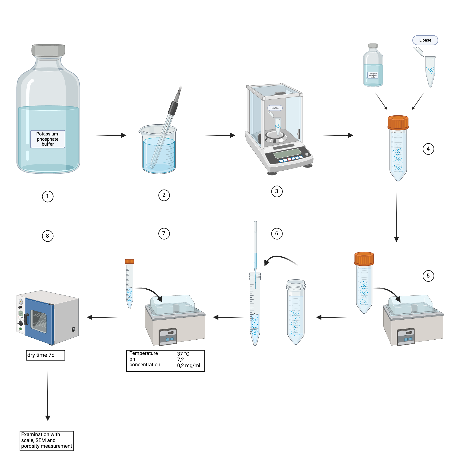 Degradation of Scaffolds for Tissue Engineering of heart valves using ...