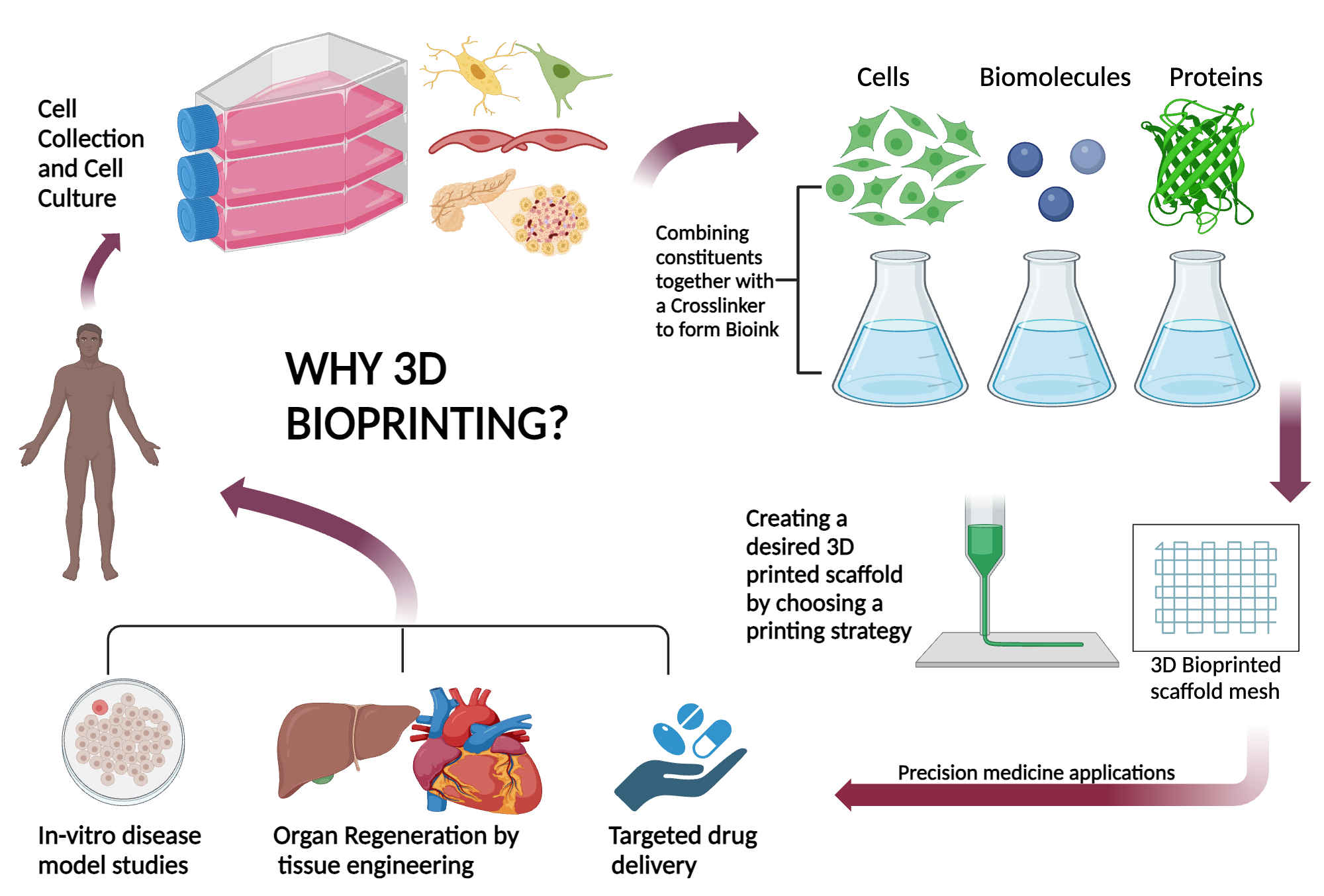 Why 3D Bioprinting: Benefits to the mankind | BioRender Science Templates