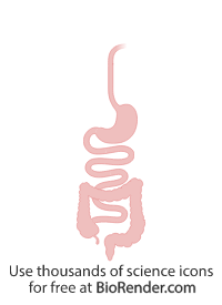 Free GI tract (schematic) 2 Icons, Symbols & Images | BioRender