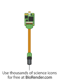 Free Silicon probe Icons, Symbols & Images | BioRender