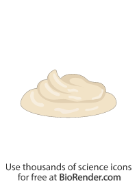 Free Cream Icons, Symbols & Images | BioRender