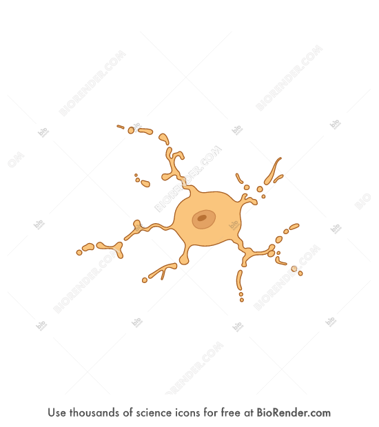 Free Microglia (dystrophic) Icons, Symbols & Images | BioRender