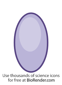 Free Enzyme (subunit) Icons, Symbols & Images | BioRender