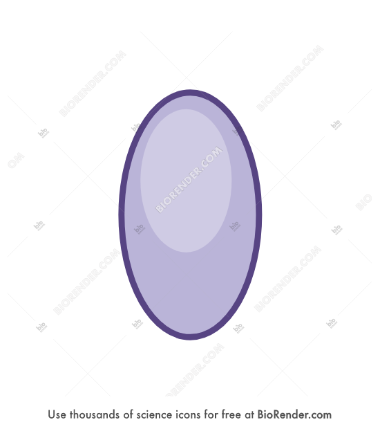 Free Enzyme (subunit) Icons, Symbols & Images | BioRender