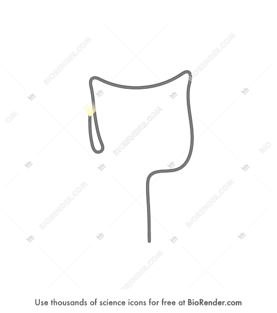 Free Endoscope (colonoscopy, retroflexion) Icons, Symbols & Images ...