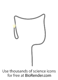 Free Endoscope (colonoscopy, retroflexion) Icons, Symbols & Images ...