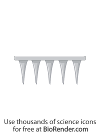 Free Microneedle array (2D) Icons, Symbols & Images | BioRender