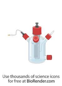 Free Anaerobic MEC Icons, Symbols & Images | BioRender