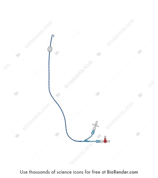 Free Catheter (ER-REBOA Plus) Icons, Symbols & Images | BioRender