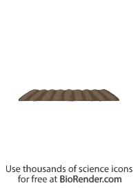 Free Soil (field) Icons, Symbols & Images | BioRender