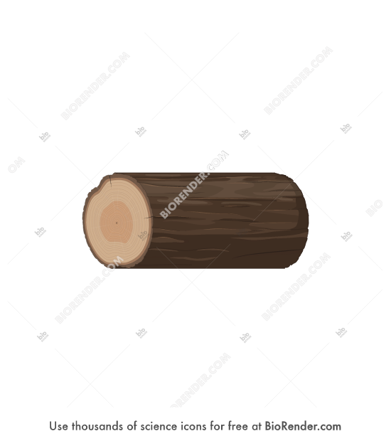 Free Wood (log) Icons, Symbols & Images | BioRender