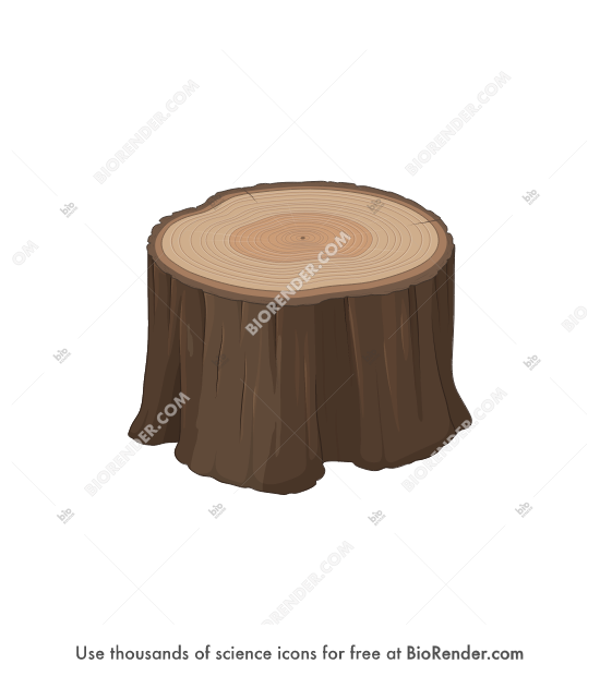 Free Tree (stump) Icons, Symbols & Images | BioRender