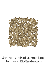 Free Soil (sand) Icons, Symbols & Images | BioRender