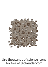 Free Soil (silt) Icons, Symbols & Images | BioRender