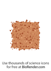 Free Soil (clay) Icons, Symbols & Images | BioRender