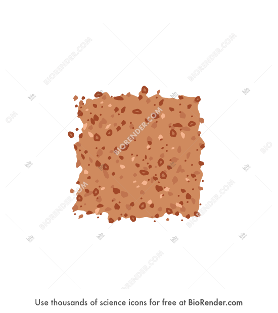 Free Soil (clay) Icons, Symbols & Images | BioRender