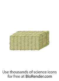 Free Hay bale Icons, Symbols & Images | BioRender