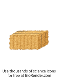 Free Straw bale Icons, Symbols & Images | BioRender