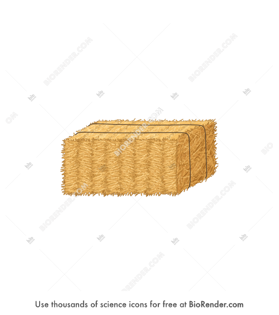 Free Straw bale Icons, Symbols & Images | BioRender