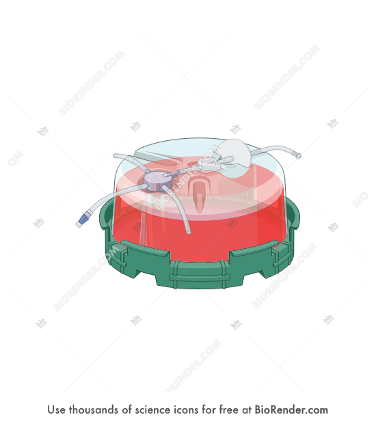 Free Cylindrical cell culture flask (G-Rex 500M CS, full liquid) Icons ...