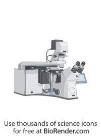 Free Objective lens Icons, Symbols & Images | BioRender