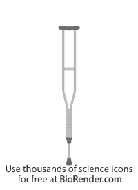 Free Crutch Icons, Symbols & Images | BioRender