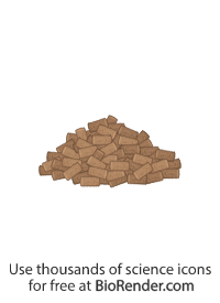 Free EFB pellets Icons, Symbols & Images | BioRender