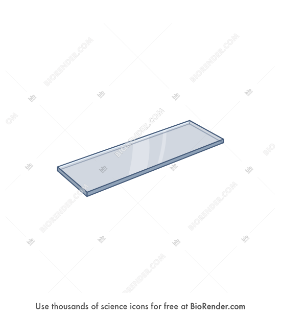 Free Microscope slide Icons, Symbols & Images | BioRender