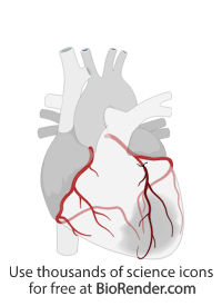 Free Myocardial infarction (blocked coronary artery with hypoxia) Icons ...