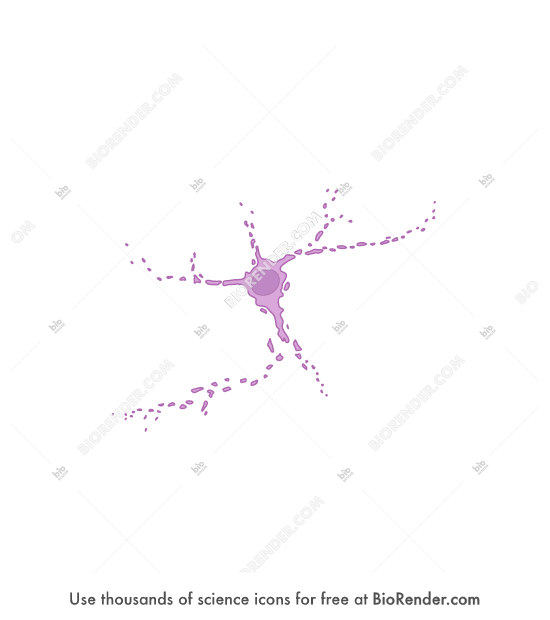 Free Cortical neuron (cultured 1, degenerating) Icons, Symbols & Images ...