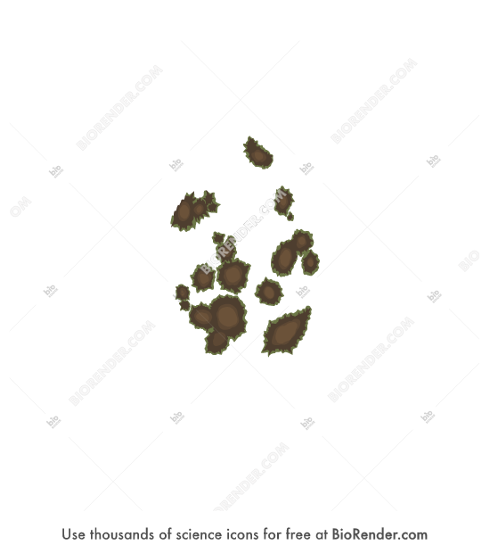 Free Leaf pathology (black spot) Icons, Symbols & Images | BioRender