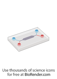 Free Microfluidic device (wide channel 1) Icons, Symbols & Images ...