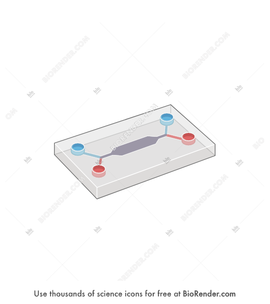 Free Microfluidic device (wide channel 1) Icons, Symbols & Images ...