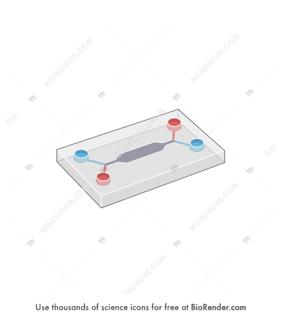 Free Microfluidic device (wide channel 2) Icons, Symbols & Images ...