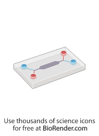 Free Microfluidic device (wide channel 2) Icons, Symbols & Images ...