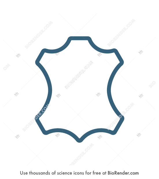 Free Leather (symbol) 1 Icons, Symbols & Images | BioRender