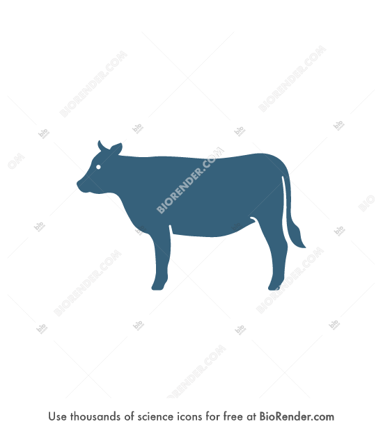 Free Cow (symbol) Icons, Symbols & Images | BioRender